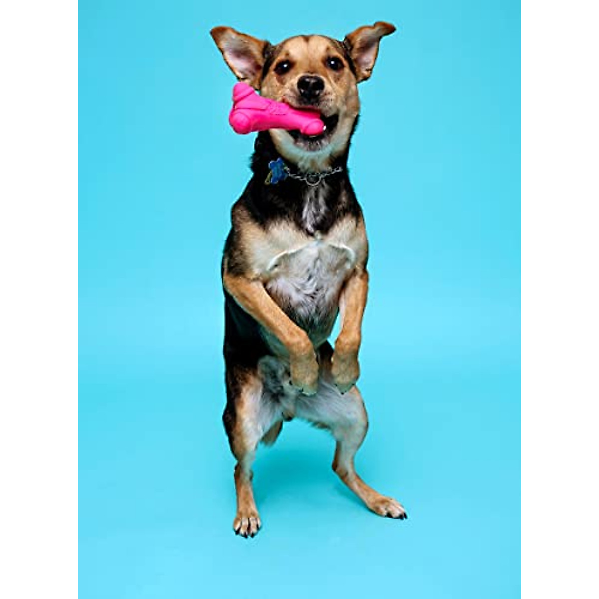 Hartz Dura Play Bacon Scented Bone Dog Toy - Small ( Colors may vary )
