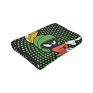 Throw Blankets Soft Cozy and Lightweight for Couch Sofa Bedroom Suitable hanoichos for Spring Summer