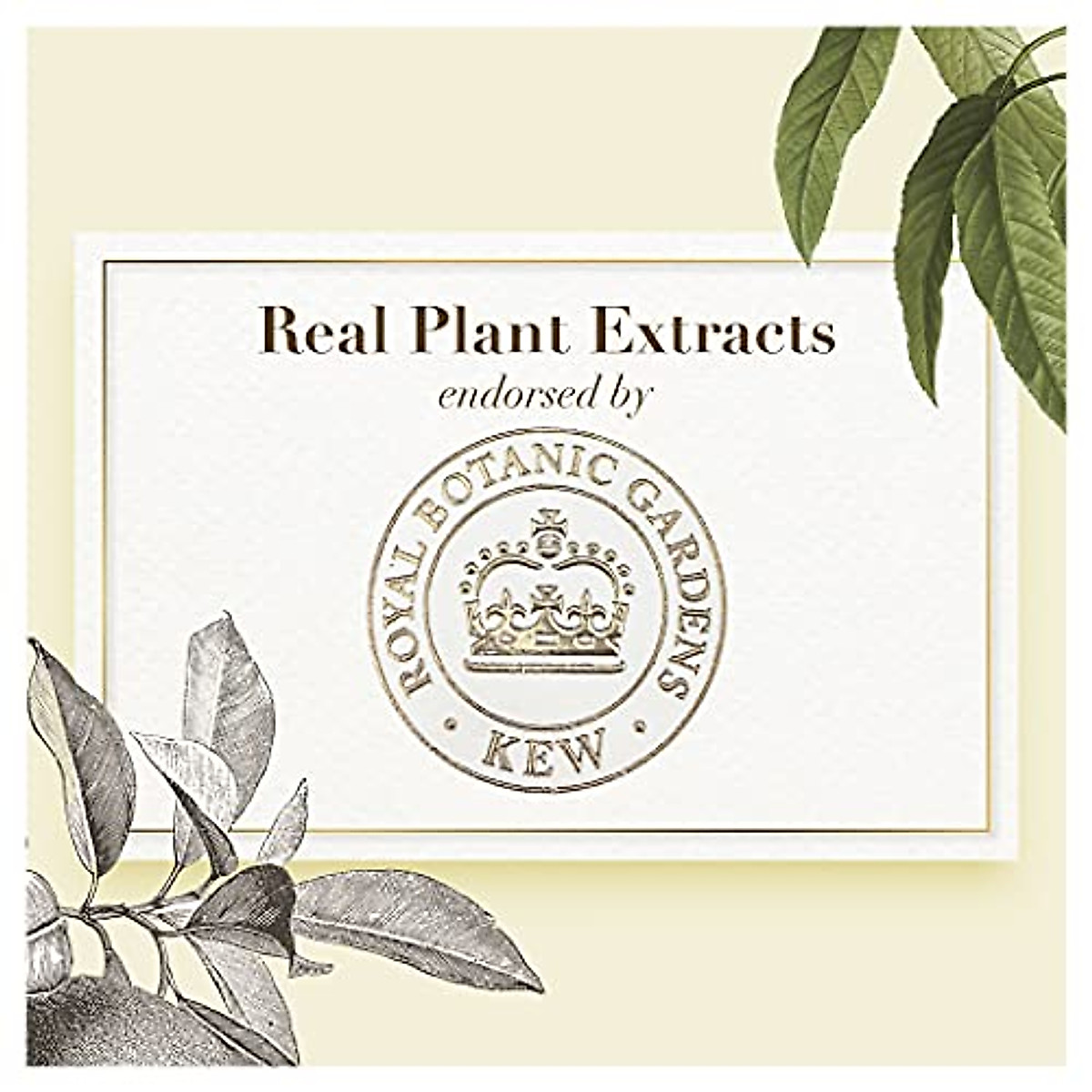 Herbal Essences Bio: Renew White Grapefruit & Mosa Mint Conditioner, 4 Count