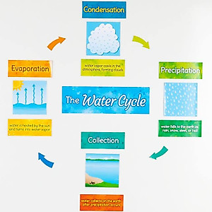 The Water Cycle Magnets