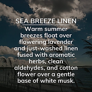 Citrus Magic On The Go Odor Absorbing Solid Air Freshener, Sea Breeze Linen, 8-Ounce, Pack of 1