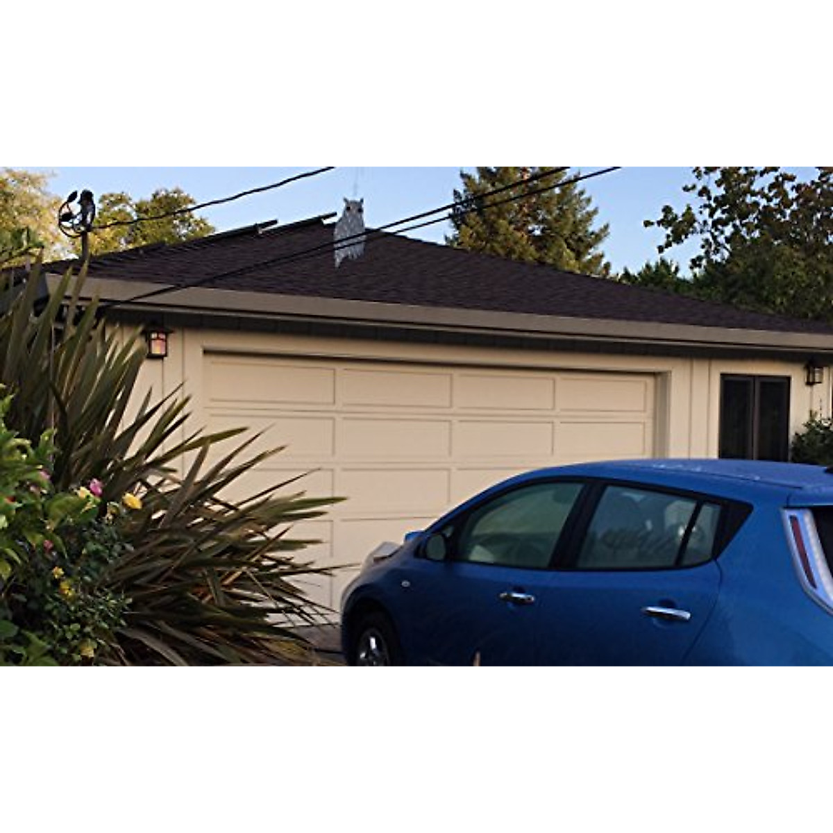 Holographic Owl Bird Deterrent- Scares Birds Away from Buildings, patios, Balconies and Gardens