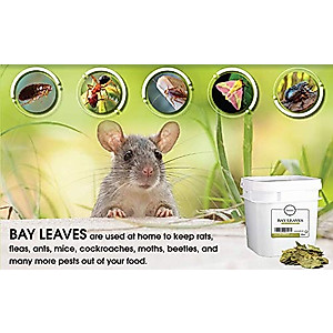 Sweeler, Bulk Bay Leaves, Value Large Bucket Size for Food Service & Home Use, 8 Ounces (1 Pack)