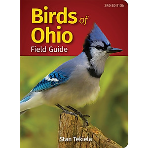 Birds of Ohio Field Guide (Bird Identification Guides)
