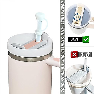2 Pcs Stanley Lid Replacement 40 oz, H2.0 Stanley Spill Leak Stopper, 6Pcs Straw Cover for Stanley 40 Oz, Long Reusable Stanley Straw Accessories (PINK DUSK A)