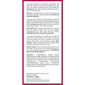 GREAT CLIPS Solutions Nourishing Conditioner 10 fl oz | Argan Oil | Sulfate and Paraben Free | Hydrates and Repairs Hair | Safe for Colored-Treated Hair