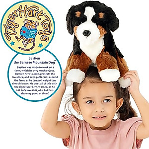 TigerHart Bastien The Bernese Mountain Dog - 13 Inch Stuffed Animal Plush