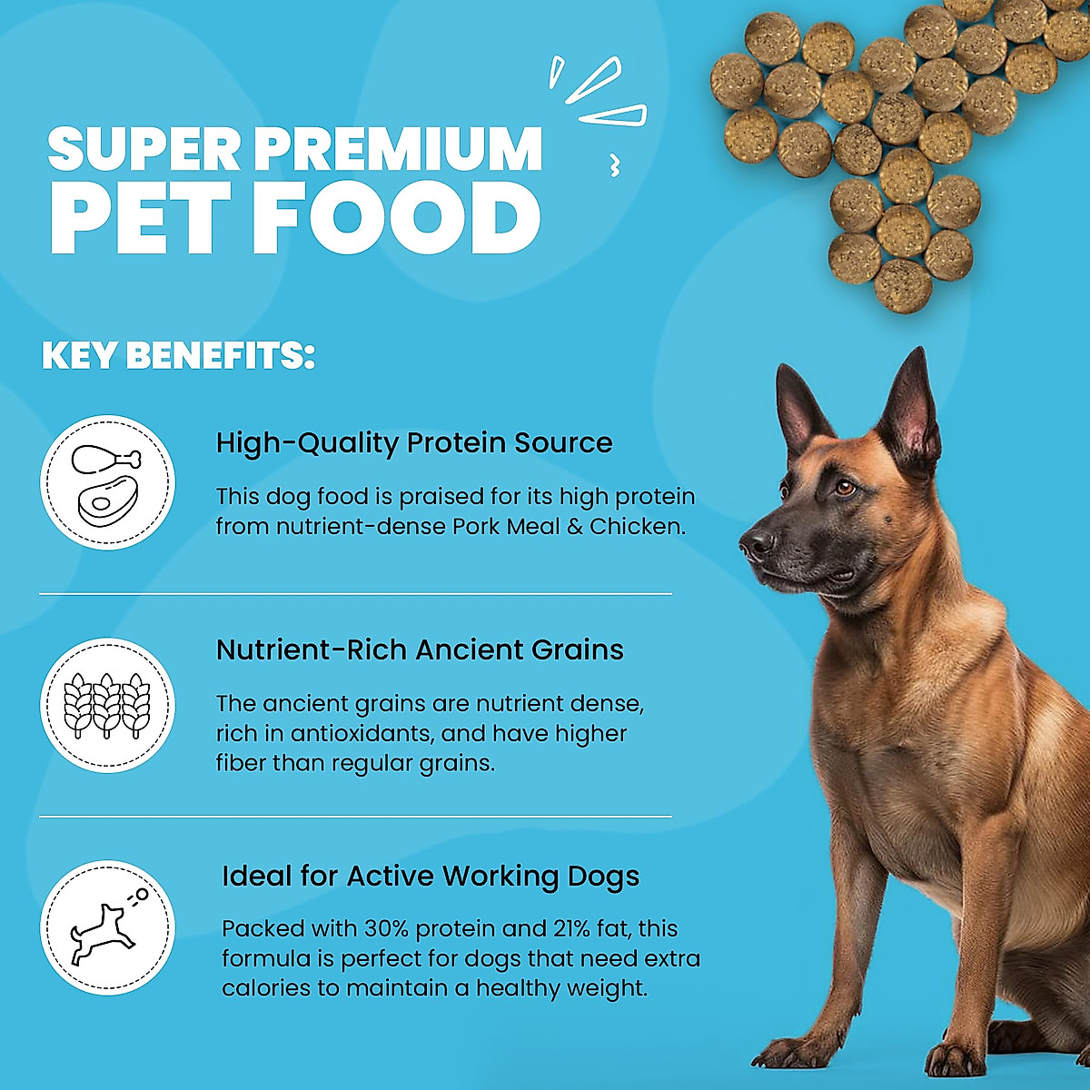 Muenster Adult Dry Dog Food, Small Breed, Large Breed - 4lb Bag Ancient Grain w/Chicken & Pork - Little Bites – Gluten Free, Non-GMO High Protein Dog Food - Soft & Healthy Digestive Dog Kibble