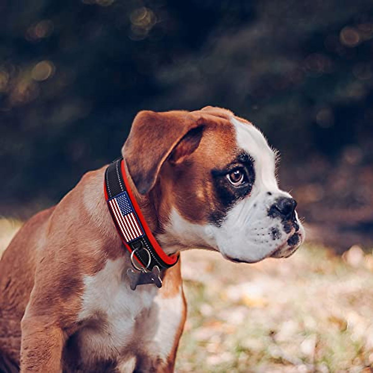 Marmuty Neoprene Dog Collar, Comfortable and Adjustable Reflective Dog Collars for Small Medium and Large Dogs, Metal Buckle Pet Collar for All Breeds with Patch, Soft Thick Padded Nylon Choker