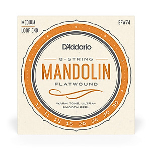 D'Addario EFW74 Phosphor Bronze Flatwound Mandolin Strings, Medium, 11-36