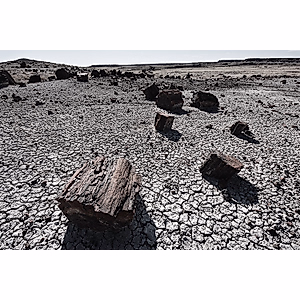 Sigma 8-16mm f/4.5-5.6 DC HSM FLD AF Ultra Wide Zoom Lens for APS-C sized Sony Digital DSLR Camera