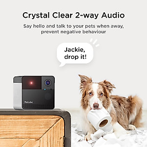 Petcube Play 2 Wi-Fi Pet Camera with Laser Toy & Alexa Built-In, for Cats & Dogs. 1080P HD Video, 160° Full-Room View, 2-Way Audio, Sound/Motion Alerts, Night Vision, Pet Monitoring App