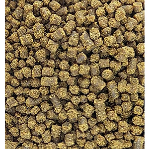 Josh's Frogs Aquatic African Dwarf Frog Food Pellets (1.85 oz)