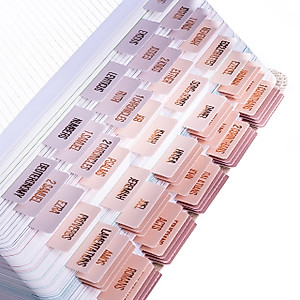 DiverseBee Laminated Bible Tabs (Rose Gold Embossed Lettering), Bible Journaling Supplies, Bible Book Tabs, Christian Gift, 66 Bible Tabs Old and New Testament, Includes 11 Blank Tabs (Pearl)
