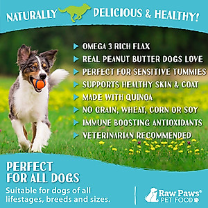 Raw Paws Grain-Free Biscuits for Dogs - Peanut Butter Recipe, 10-oz - Crunchy Dog Treats Made in USA - Corn, Wheat & Soy Free PB Dog Treats - Heart Shaped Puppy Biscuits - Peanut Butter Dog Biscuits