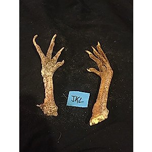 2 Real Chicken Feet Taxidermy Arts Witchcraft Spell Voodoo Hoodoo