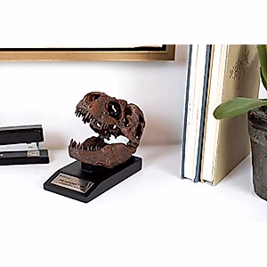 The Nation's T-Rex Skull Statue | Smithsonian Fossil Replica | 6-Inch Tall Tyrannosaurus Rex Desk Statue | 1:10 Scale
