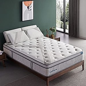 14 Inch Queen Mattress in a Box, Lechepus Plush Memory Foam Hybrid Mattress with Pocket Innerspring, Soft But Supportive Mattress for Pressure Relief, Queen Size 60"*80"