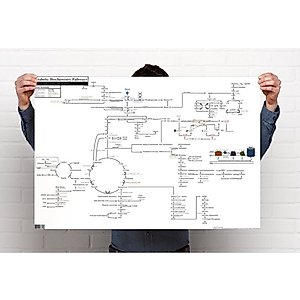 Metabolic Biochemistry Pathways Poster (36 x 24 Inches, Non-Laminate Standard, 1)