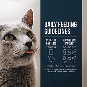 Fussie Cat Market Fresh Salmon Meal Formula Grain-Free Dry Cat Food 4lb