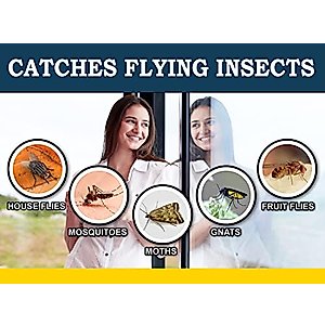 MaxGuard Window Fly Traps (24 XL Traps) Catch & Kill Houseflies, Flying Insects & Bugs. Non-Toxic Sticky Glue Traps Fly Killer Clear Strip Insect Catcher Safe No Zapping with Zapper |