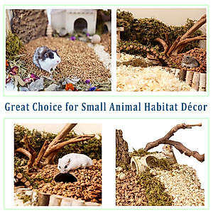 JFWOD 8L Natural Cork Peat Hamster Bedding Pet Litter for Dwarf Syrian Hamsters, Gerbils, Mices, Degus or Reptiles Habitat Decorations