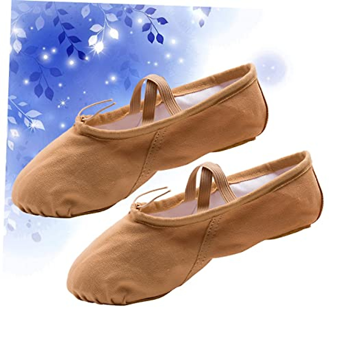 Healifty 2 Pairs Non Slip Dancing Shoes Barre Ballet Shoes Ballet Dancer Shoes Princess Ballet Shoes Yoga Shoes Stretch Canvas Ballet Slippers Shoes Elastic Practice Shoes