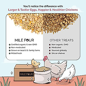 Mile Four | Chicken Scratch | 100% US Grown Grains, Organic, Non-GMO, Soy-Free, Non-Medicated, Whole Grain Chicken Treats for Hens & Roosters | Scratch for Chickens, Ducks & Waterfowl | 23 lbs.