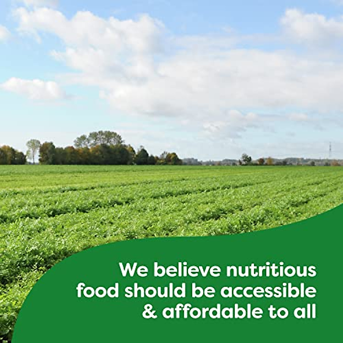 Knorr Pasta Side Dish For Delicious Quick Pasta Side Dishes Alfredo Fettuccine No Artificial Flavors or Preservatives 4.4 oz 6 Count