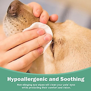 CuteBone Pet Eye Wipes 120 Count - Gentle and Soothing Eye Cleaning Wipes for Dogs and Cats, Removes Dirt, Tear Stains, and Debris, Prevents Eye Infections, Natural Ingredients, Safe and Easy to Use