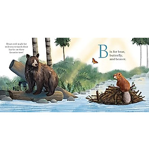 T Is for Tiger: A Toddler's First Book of Animals