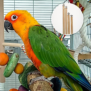 Mipcase Pet Birds Standing Bar 4PCS Parrot Standing Bird Perch Bird perches Parrot Perch Sticks Sturdy Bird Parrot Standing Sticks