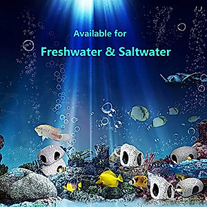 SpringSmart Aquarium Hideaway Rock Cave for Aquatic Pets to Breed, Play and Rest, Safe and Non-Toxic Ceramic Fish Tank Ornaments, Decor Stone for Betta