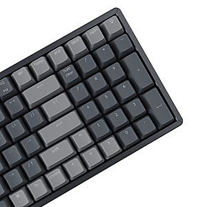 Keychron K4 RGB Hot Swappable Mechanical Keyboard, 96% Layout Bluetooth Wireless/USB Wired Computer Keyboard with Gateron G Pro Brown Switch Aluminum Frame for Mac Windows-Version 2