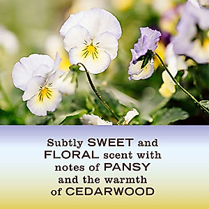 MRS. MEYER'S CLEAN DAY Hand Soap, Made with Essential Oils, Biodegradable Formula, Compassion Flower, 12.5 fl. oz - Pack Of 3