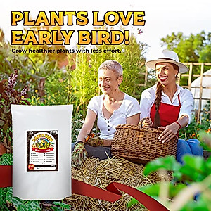 100% Pure Worm Castings Rich in Micro Nutrients - Odor Free Organic Plant Fertilizer for Indoor/Outdoor Use - Helps Reduce Soil Compaction, Improve Soil Aeration, Increase Water Retention, and More