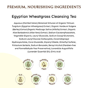 Qhemet Biologics Cleanse & Condition Duo - Includes Egyptian Wheatgrass Cleansing Tea Shampoo & Moringa Tree Conditioning Ghee to Soften and Detangle Hair - 2-Piece Haircare Set