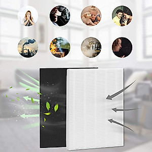 KEYJINIU - DX95 Filter Compatible with AeraMax 290 AeraMax 300 DX95 Contains (1 Filters + 4 Carbon Filters)