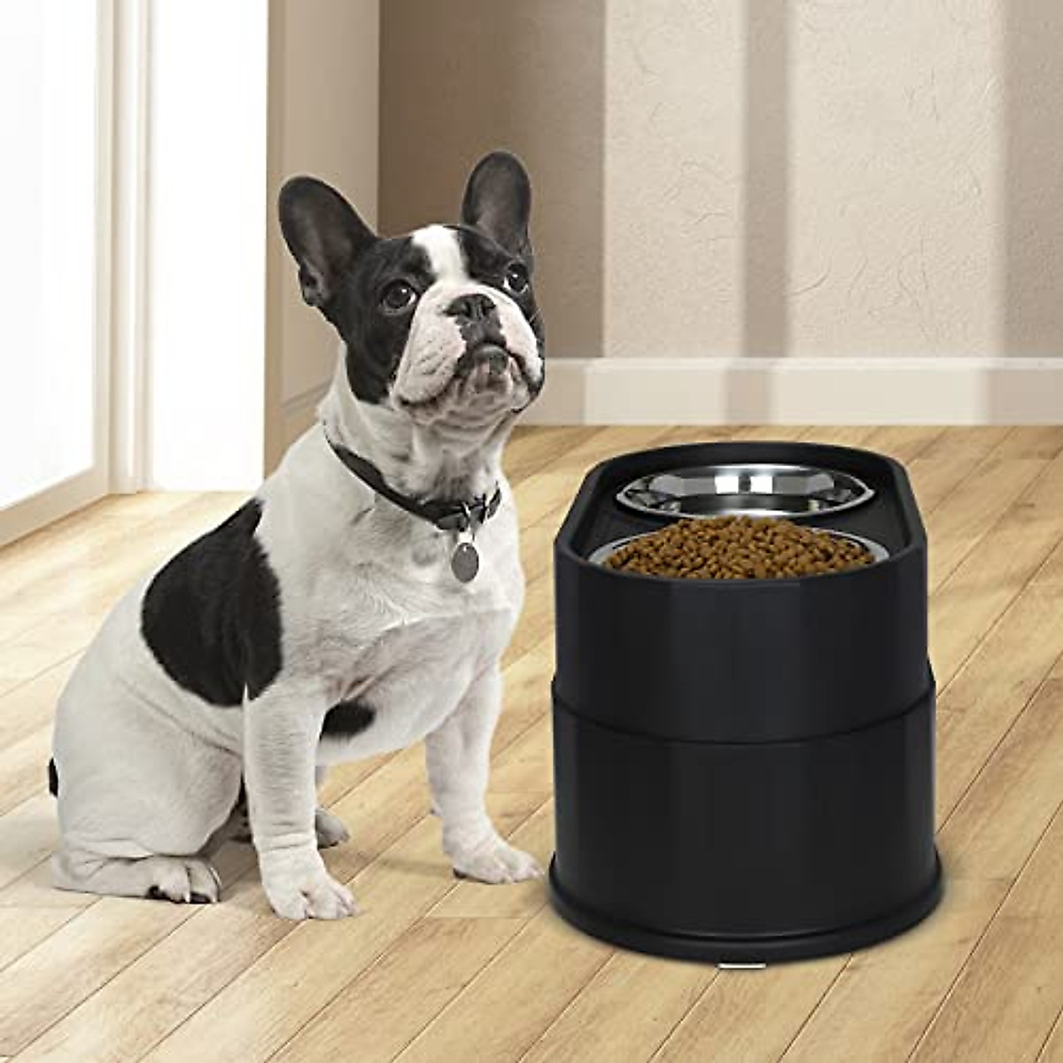 MASOCAT Raised Dog Bowls,Stainless Steel Dog Food Dish and Pet Water Bowls,Elevated Height Adjustable Double Bowl with Stand for Small Medium Dogs and Cats (Black)