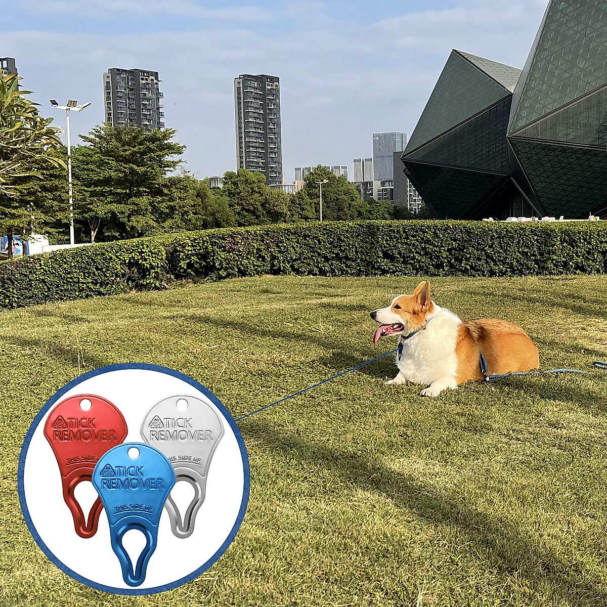 3 Pack Tick Remover Tool Portable, Tick Removal Tool for Pets, Humans and Animals, Safe and Portable, Pain-Free and Effective, Essential Tools for Outdoor Activities
