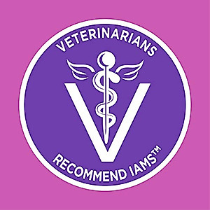 IAMS PROACTIVE HEALTH Healthy Kitten Dry Cat Food with Chicken Cat Kibble, 16 lb. Bag