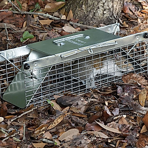 Havahart 1025 Small 2-Door Humane Catch and Release Live Animal Trap for Squirrels, Chipmunks, Rats, Weasels, and Small Animals