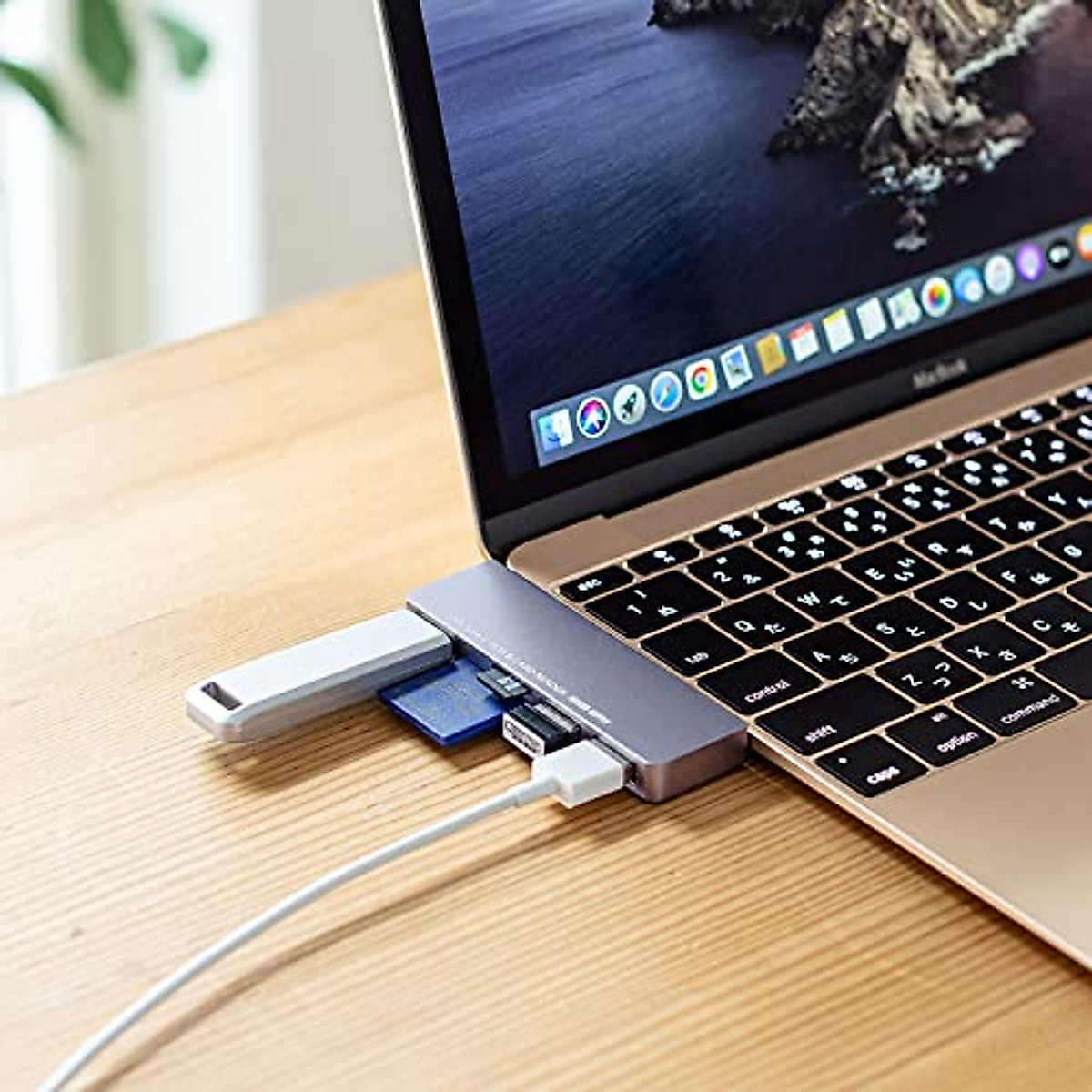 Sanwa Supply USB-3TCHC18GY USB Type-C Hub (with Card Reader)