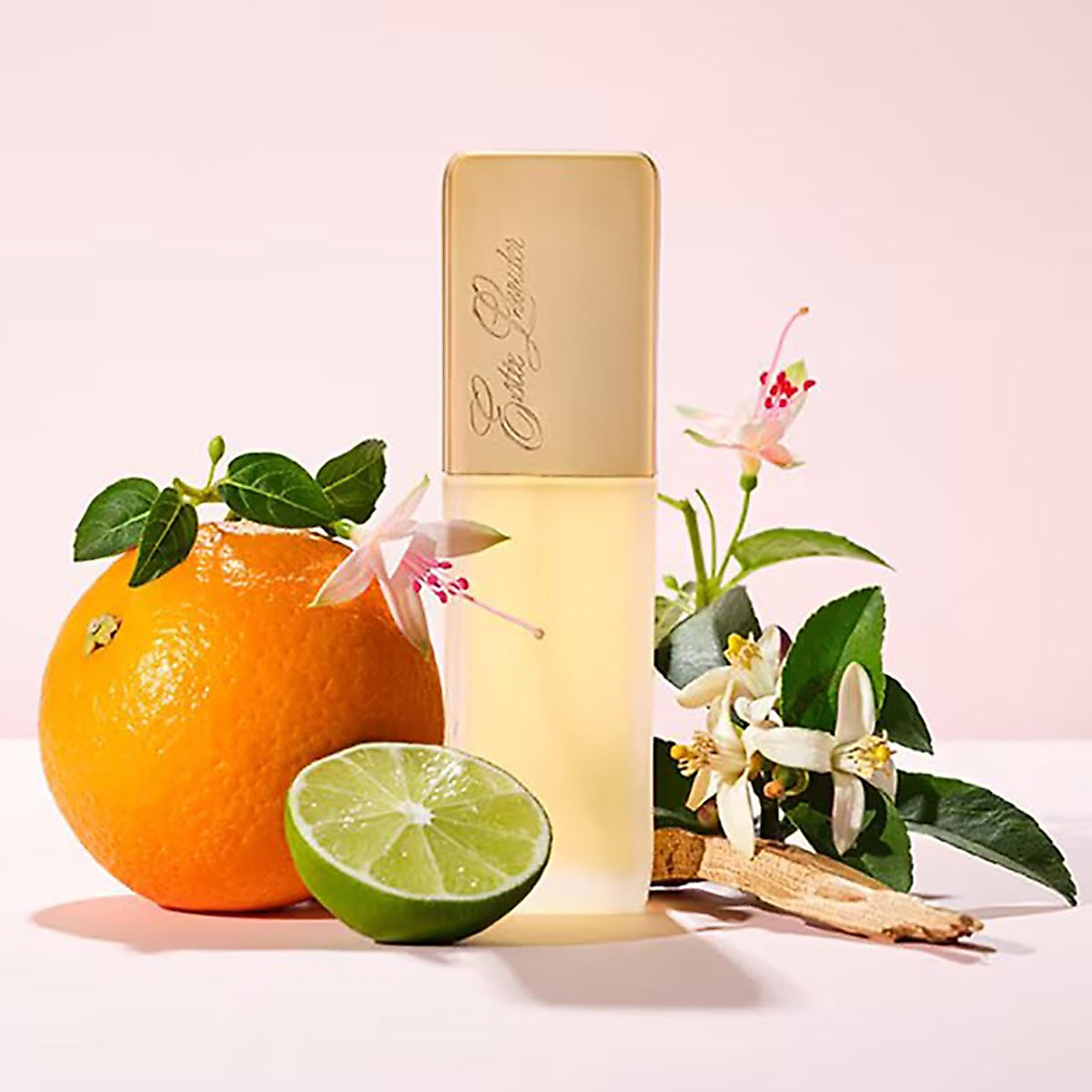 Private Collection By Estee Lauder For Women. Eau De Parfum Spray 1.7 oz