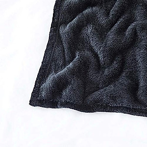 MOONLIGHT20015 Fleece Blanket Queen Size - Super Soft Fuzzy Black Throw Blanket for Couch and Sofa - Lightweight Luxury 400 GSM Microfiber Fluffy Bed Blankets and Throws, 90 x 90 Inches