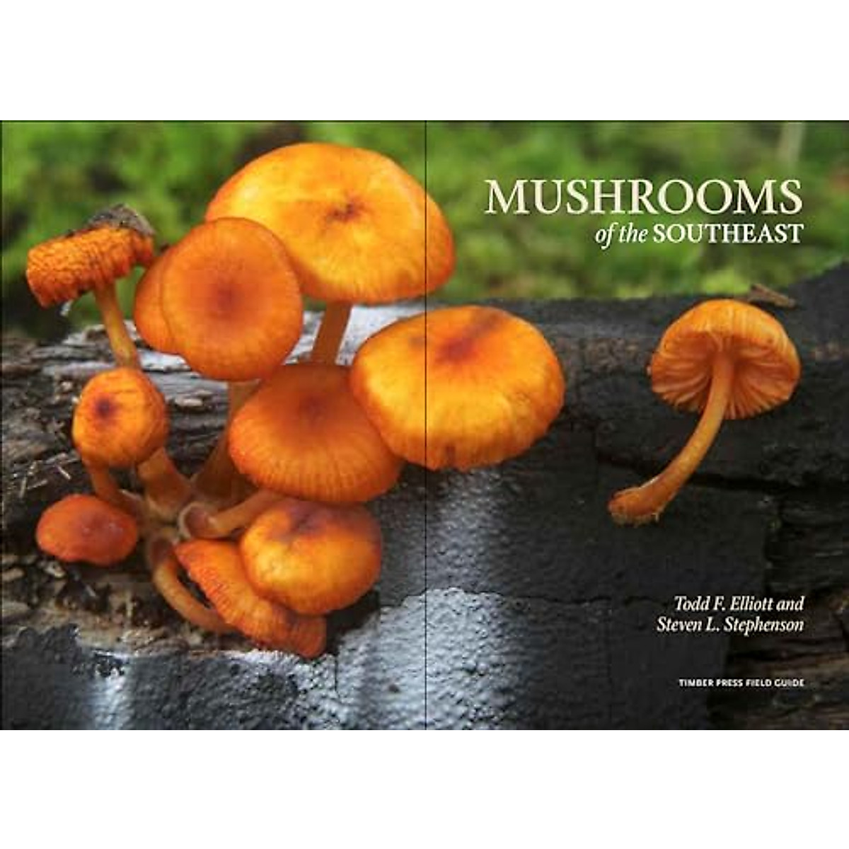 Mushrooms of the Southeast (A Timber Press Field Guide)