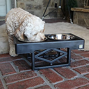Pet Zone Designer Diner Adjustable Elevated Dog Bowls - Adjusts to 3 Heights, 2.75”, 8", & 12'' (Raised Dog Dish with Double Stainless Steel Bowls) Black, 20 x 10.6 x 6"
