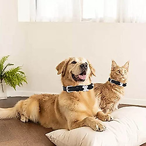 Collars for Girl Cats Pet Bone Rhinestone Dog Collar Diamond Bling Girl Small Puppy Cute Bowtie Pet Collar Buckle Pet Leash Cat Collar