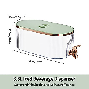 SIXAQUAE iced beverage dispenser,iced Juice Lemonade Dispenser For Party Daily Use, Milk Dispenser For Fridge GREEN.