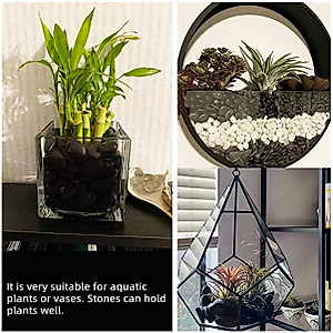 NMEINV 2 lb Natural Decorative Black Pebbles - Decorative River Rocks for Bamboo Plants, Fish Tank, Vase Fillers and Fairy Garden(1 to 2 Inch).